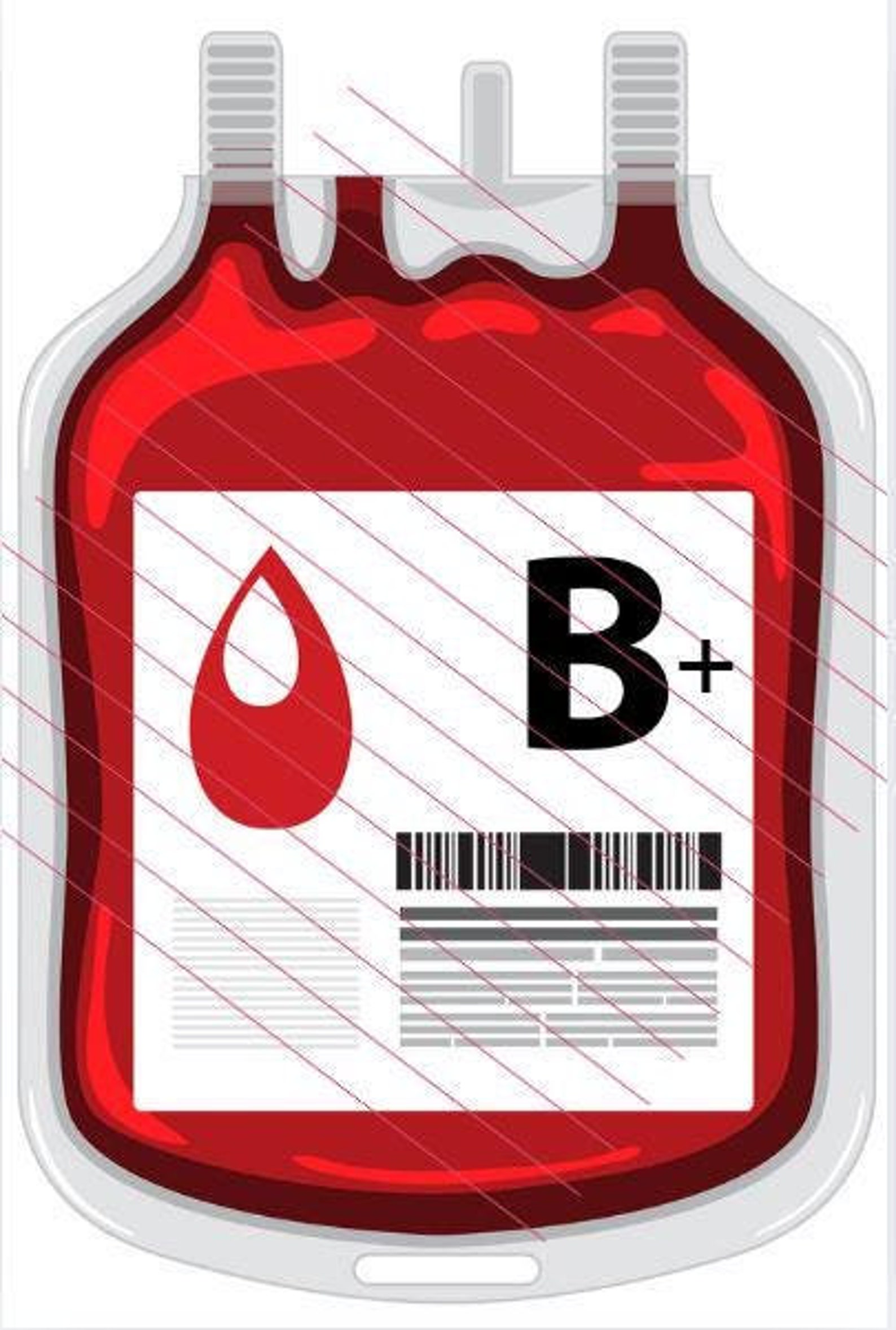 Blood Type Sticker PNG | Blood Type Cut File | Cricut | Personalized ...