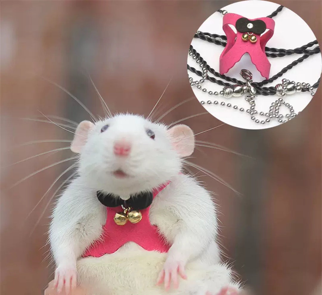 Rat Traction Rope,small Pet Leash, Split Rope Size Adjustable Vest ...