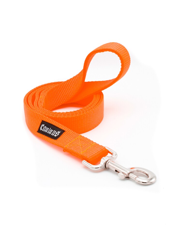 1 Inch Nylon Dog Leash 4FT - 6FT - Single or Double Ply 1" Width - Etsy