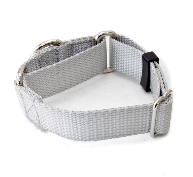 3/4 Inch Width Martingale Nylon Dog Collar 3/4 Width - Etsy