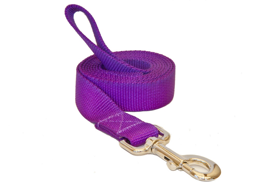 1 Inch Nylon Dog Leash 4FT 6FT Single or Double Ply - Etsy
