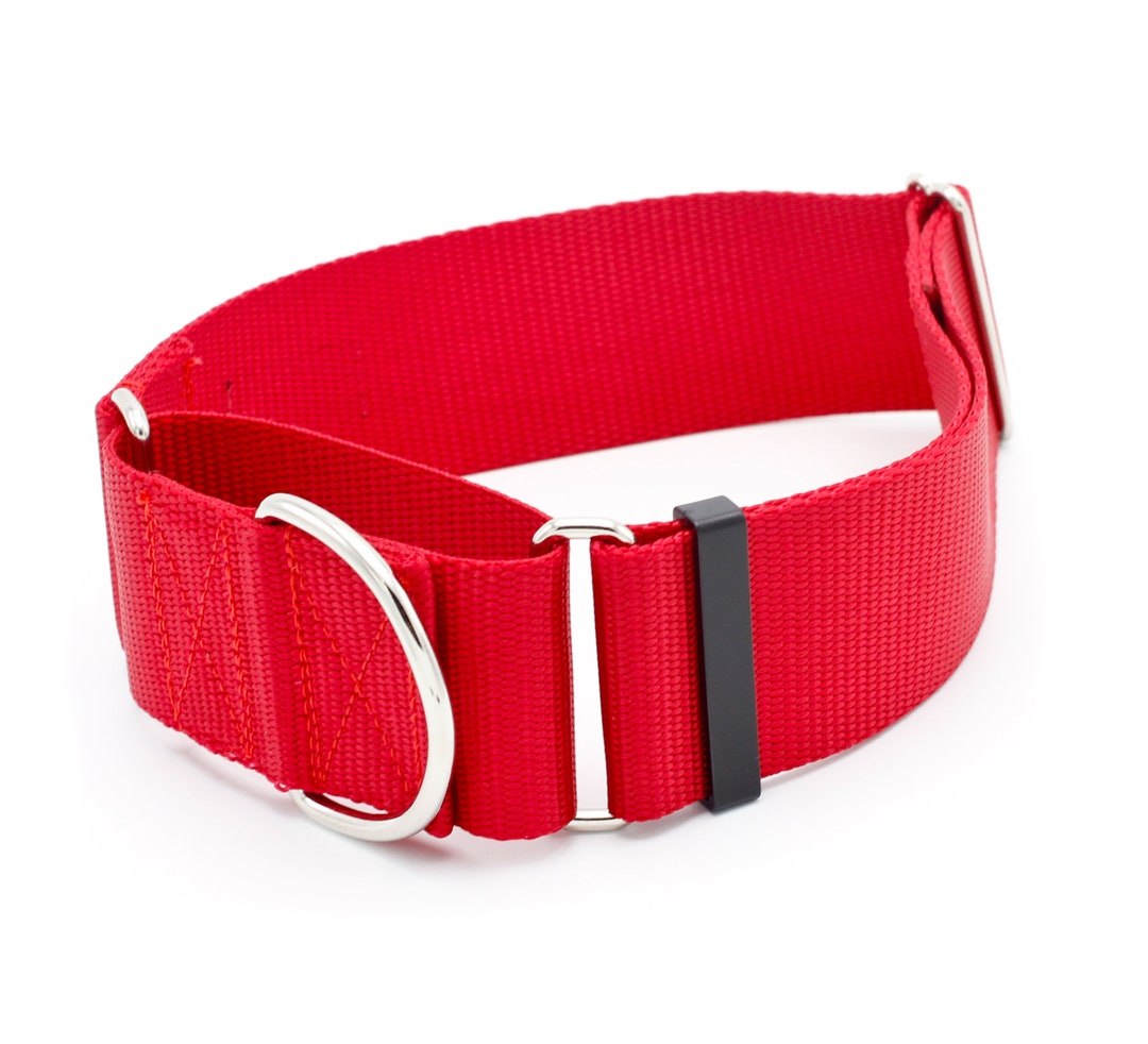 2 Inch Width Martingale Nylon Dog Collar - 2" No Slip Martingale ...