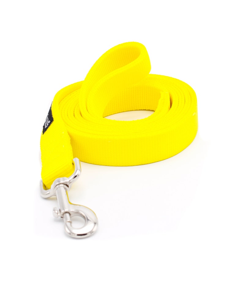 1 Inch Nylon Dog Leash 4FT - 6FT - Single or Double Ply 1" Width - Etsy