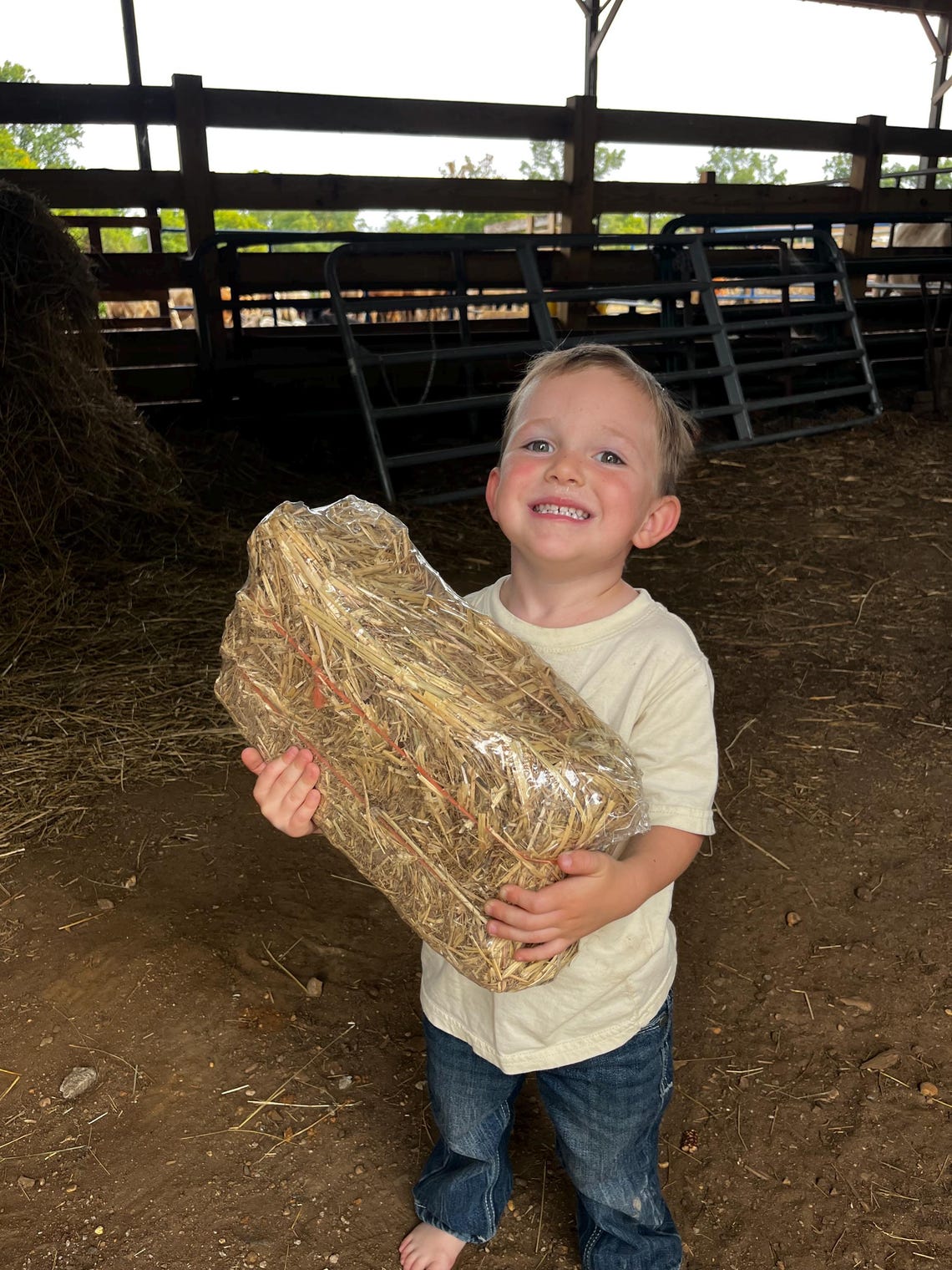 Mini Straw Bale - Etsy