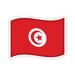 Tunisia Flag Sticker | Tunisian Flag | Fun Sticker Decoration | Fun ...
