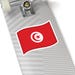 Tunisia Flag Sticker | Tunisian Flag | Fun Sticker Decoration | Fun ...