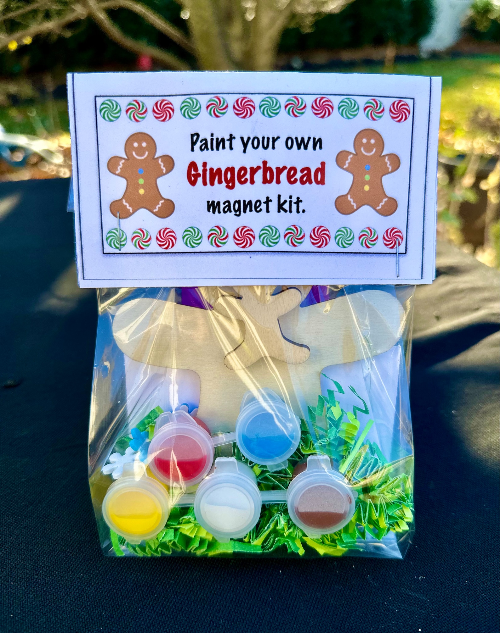 Paint Your Own, Student Gift, Gingerbread Man, Christmas Gnome, Gnome ...