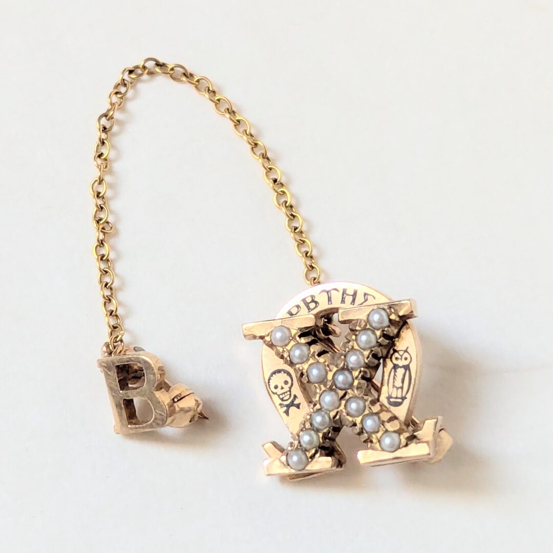 Vintage Omega Chi Badge Sorority 10k Gold Pearl Skull Owl Chapter Guard ...