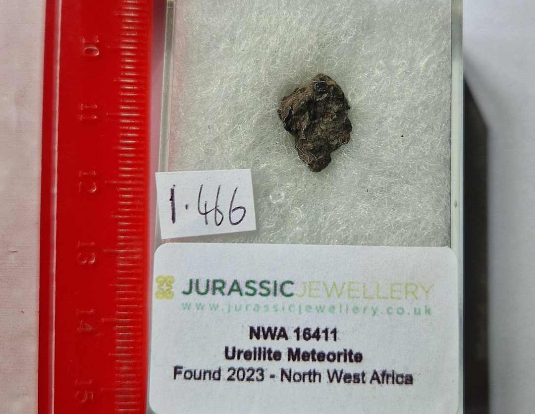 Ureilite Meteorite -ULTRA RARE Meteorite Type - NWA 16411 - - Boxed and ...