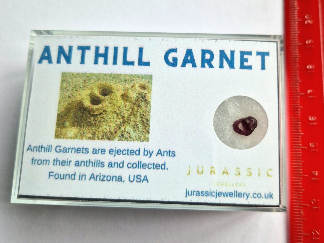 Anthill Garnet Ultra Rare Gemstone Collected by Ants in Arizona USA ...