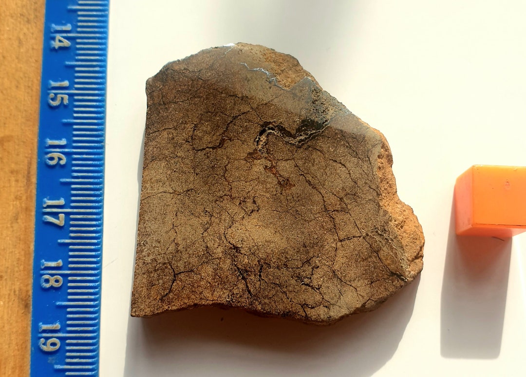 Boxed Stone Chondrite Meteorite Slice 27.72 Grams - NEW - Etsy