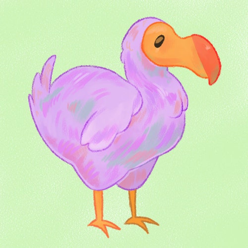 DodoHooks - Etsy