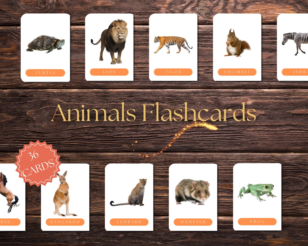 Animals (real Pictures), 36 Montessori Flash Cards, Home Schooling ...