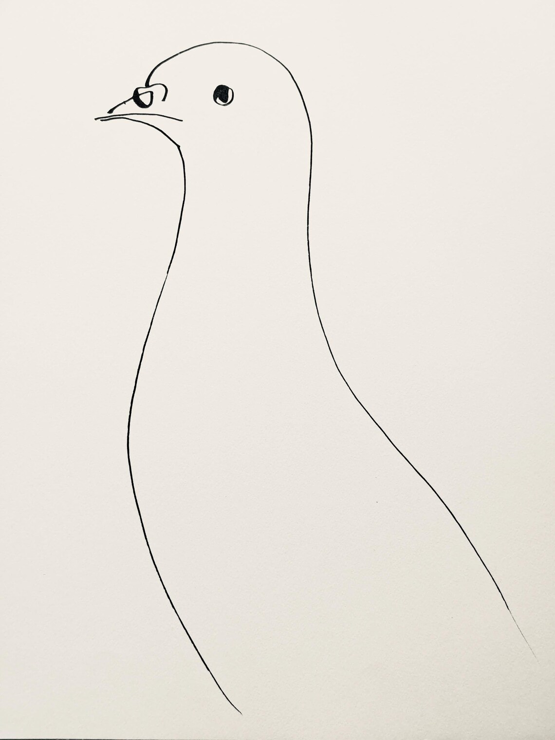 Pablo Picasso, Pigeon (cramer No. 84), 40 Dessins De Picasso En Marge ...