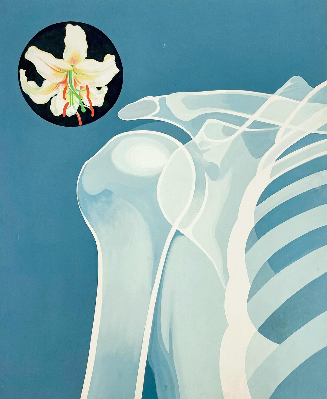 Lowell Nesbitt, X-ray Series (with Lily), Original Painting - Etsy