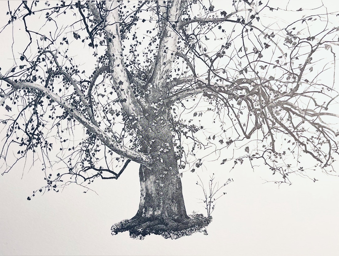 Andrew Wyeth, New Leaves, the Four Seasons, Limited Edition Lithograph ...