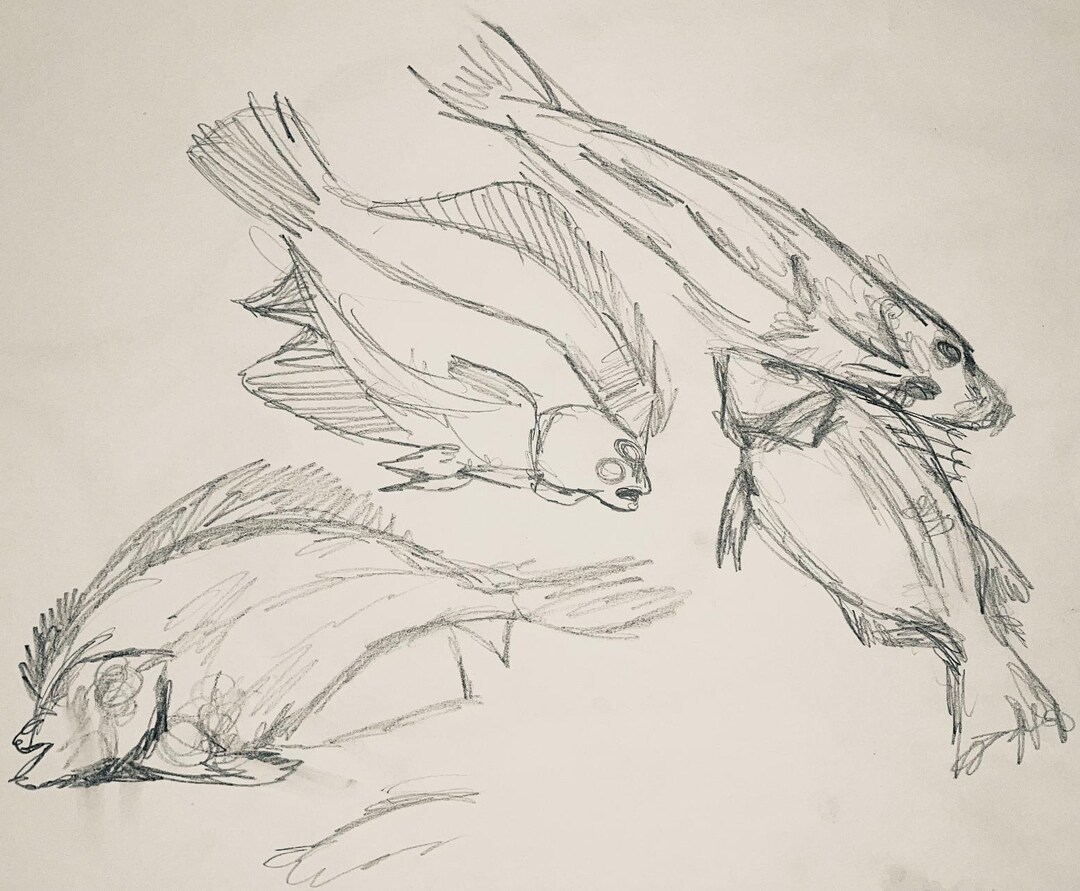 Ian Hornak, Renaissance Fish Study, 1963, Original Drawing - Etsy