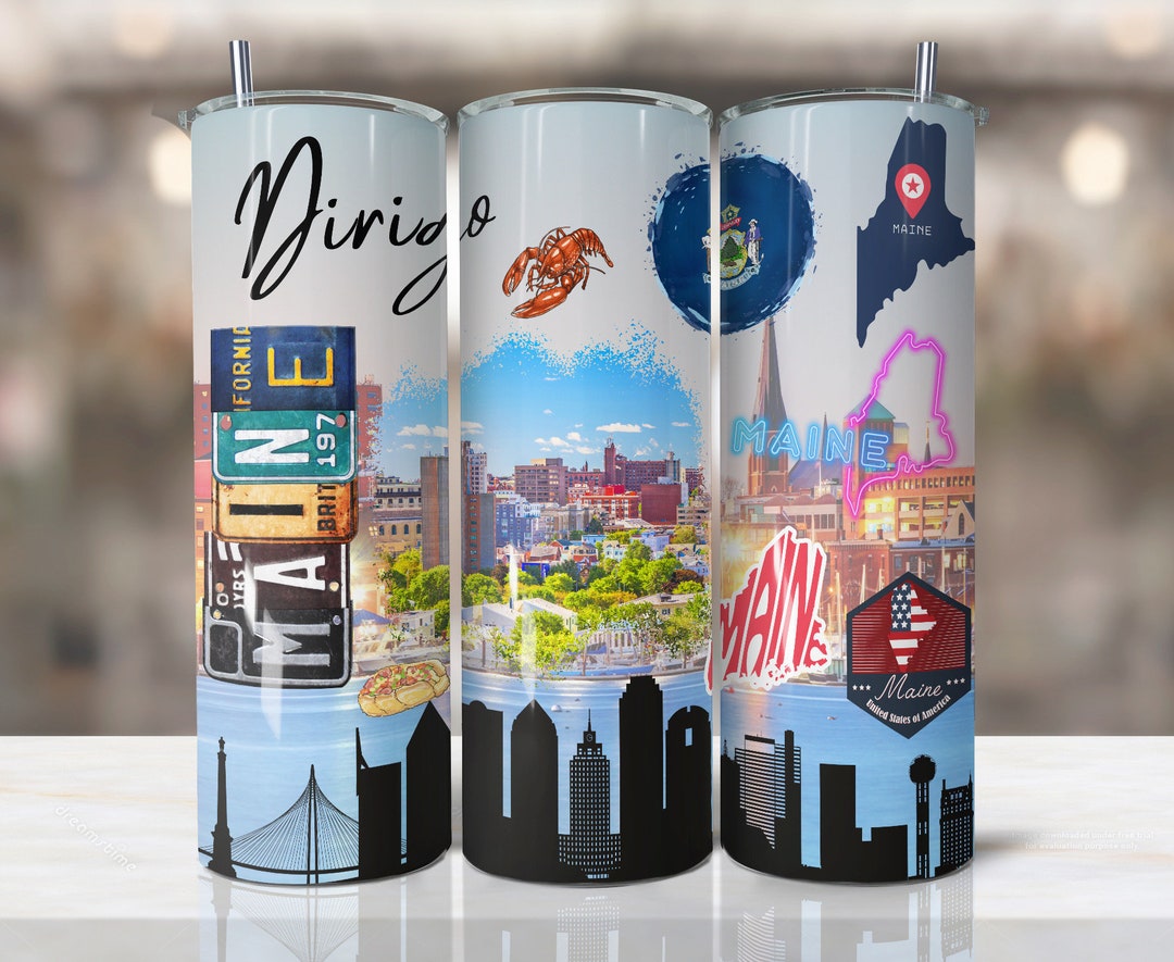 20oz Skinny Tumbler, Maine, US States - Etsy