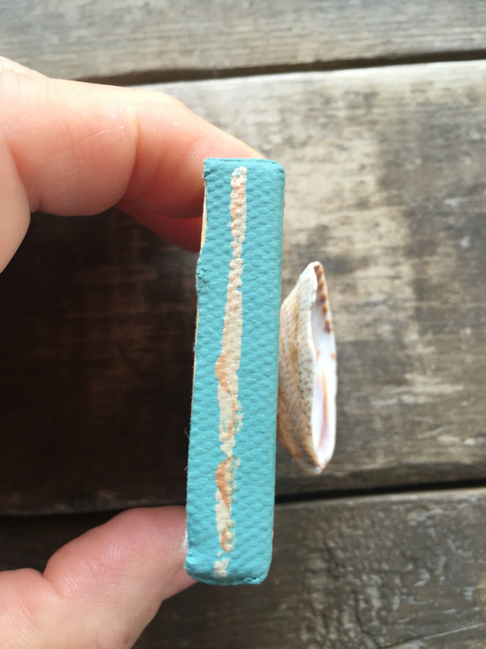 Slipper Shell Sea Shell Painting Acrylic Slipper Shell - Etsy