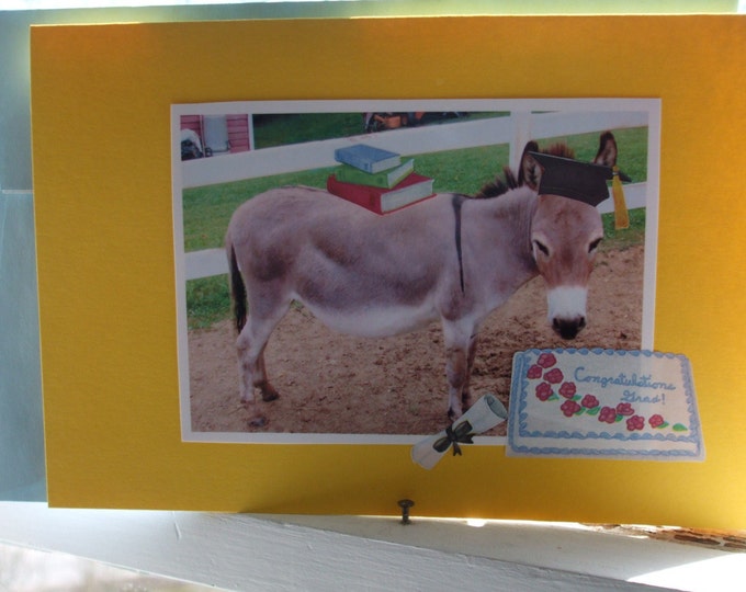 Donkey Graduation Card - Etsy