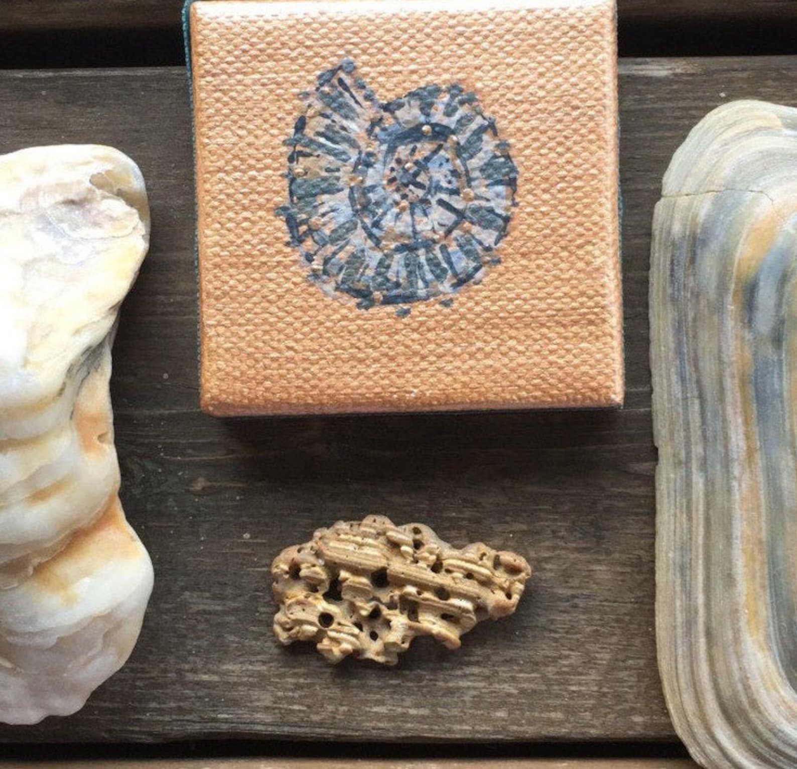 Painting Channel Whelk Sea Shell Painting Acrylic Art Gold - Etsy