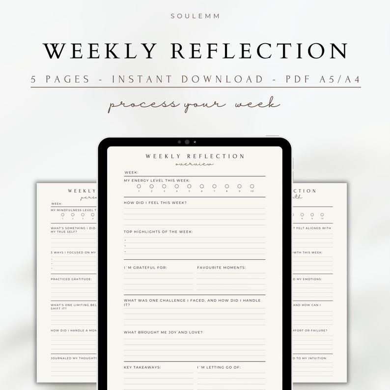 Weekly Reflection Printable Template, Weekly Review Digital Journal ...