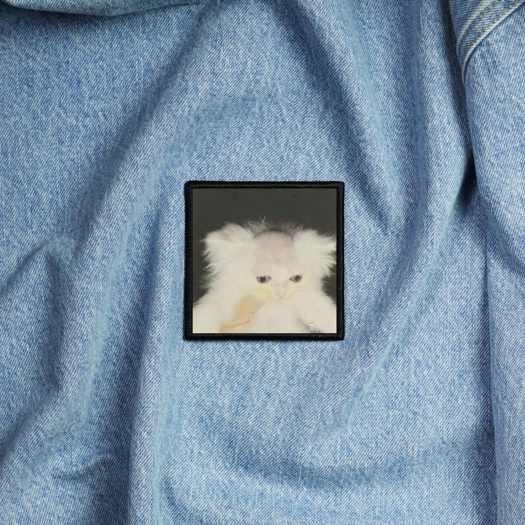 Shaved Cat Meme Iron On, Funny Cat Patch, Meme Patch, Animal Lover ...