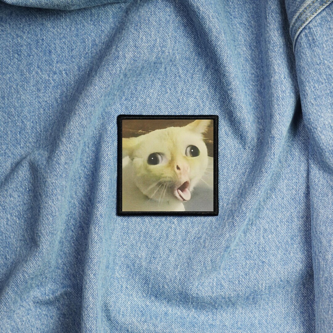 Disgusted Cat Meme Iron On, Velcro Funny Cat Patch, Meme Patch, Animal ...