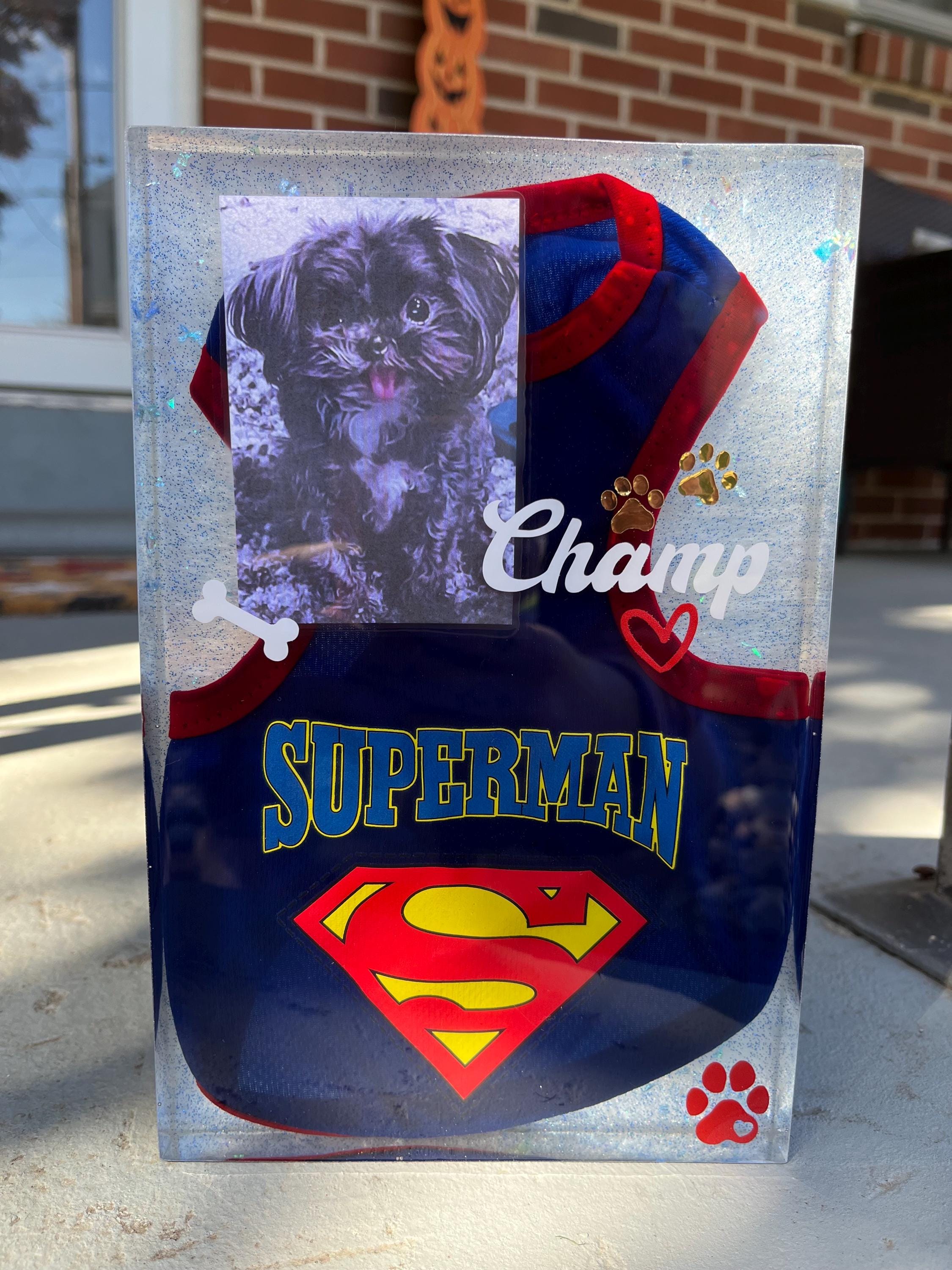 Pet Memorial, Resin Memorial, Memorial in Resin, Epoxy, Ash ...