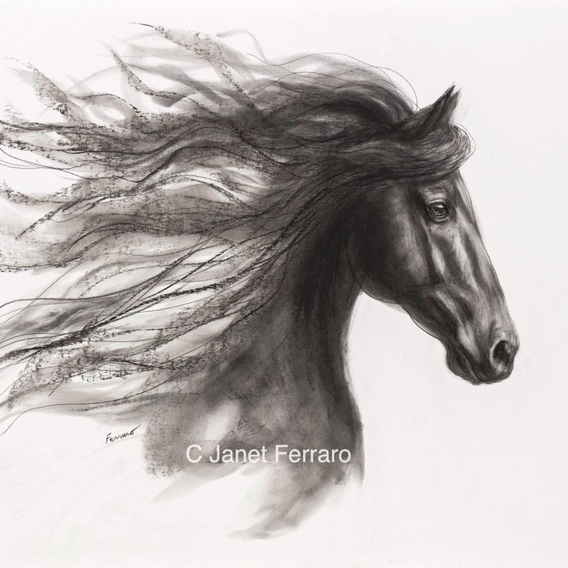 FerraroFineArt - Etsy
