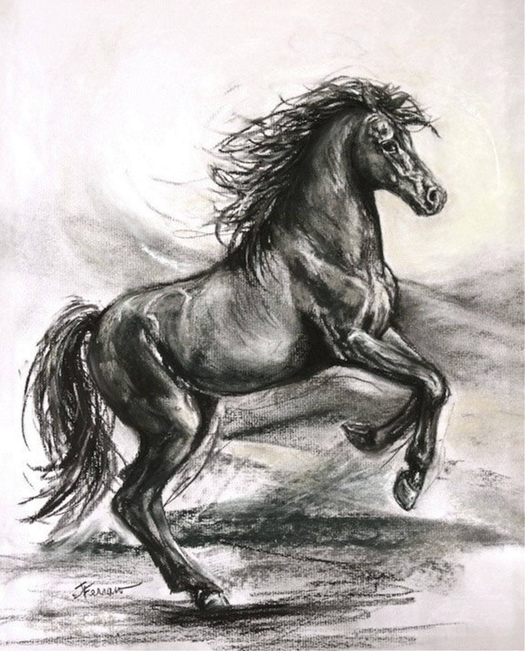 Original Horse Charcoal Drawing-original Illustration-original Horse ...