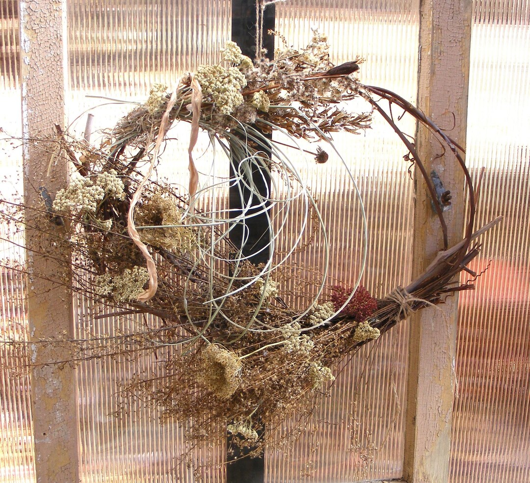 A Fall Gathering of Dried Pods, Grasses, Wild Flowers, Queen Anne's ...