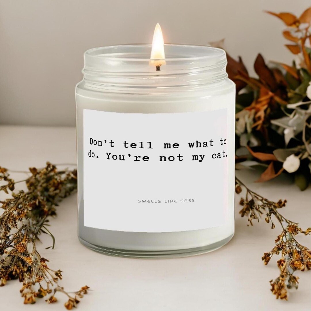 Scented Candles - Cheeky Sarcastic Funny Soy Candle Gift With Sassy ...