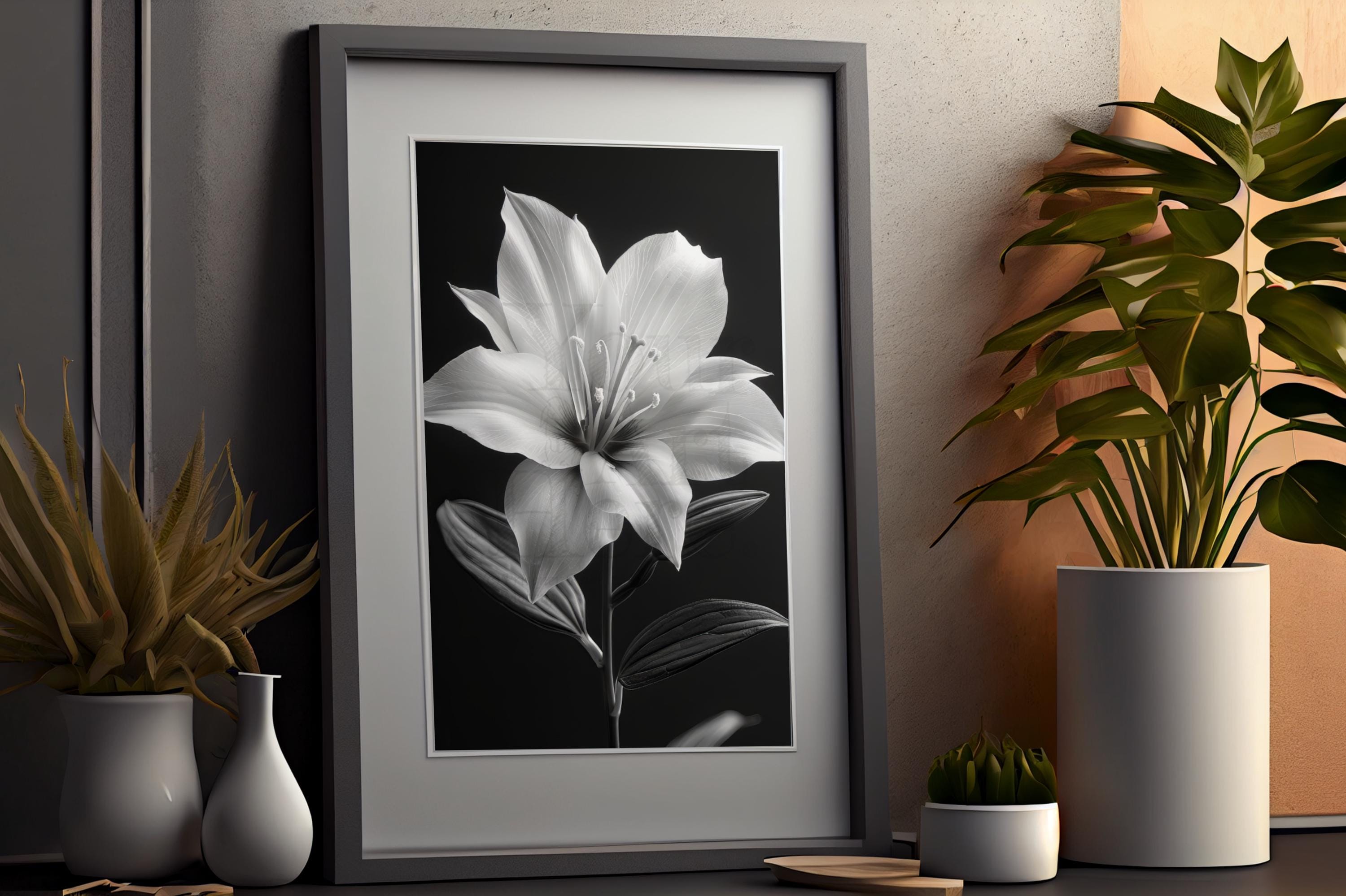 Black and White Lily Print: Minimalist Floral Photography (digital ...