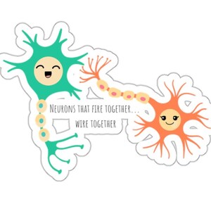 Neurons That Fire Together Wire Together- Neuroscience Themed Sticker ...