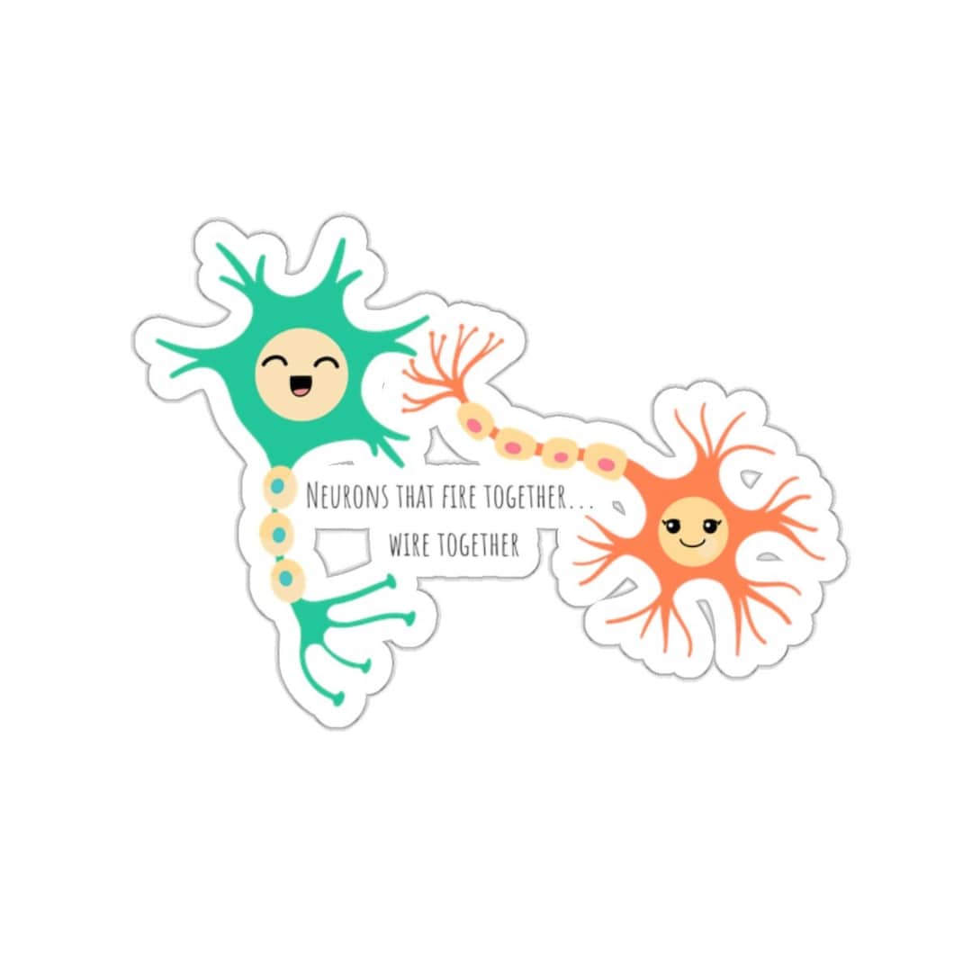 Neurons That Fire Together Wire Together- Neuroscience Themed Sticker ...