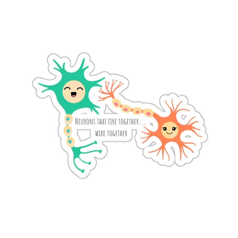 Neurons That Fire Together Wire Together- Neuroscience Themed Sticker ...