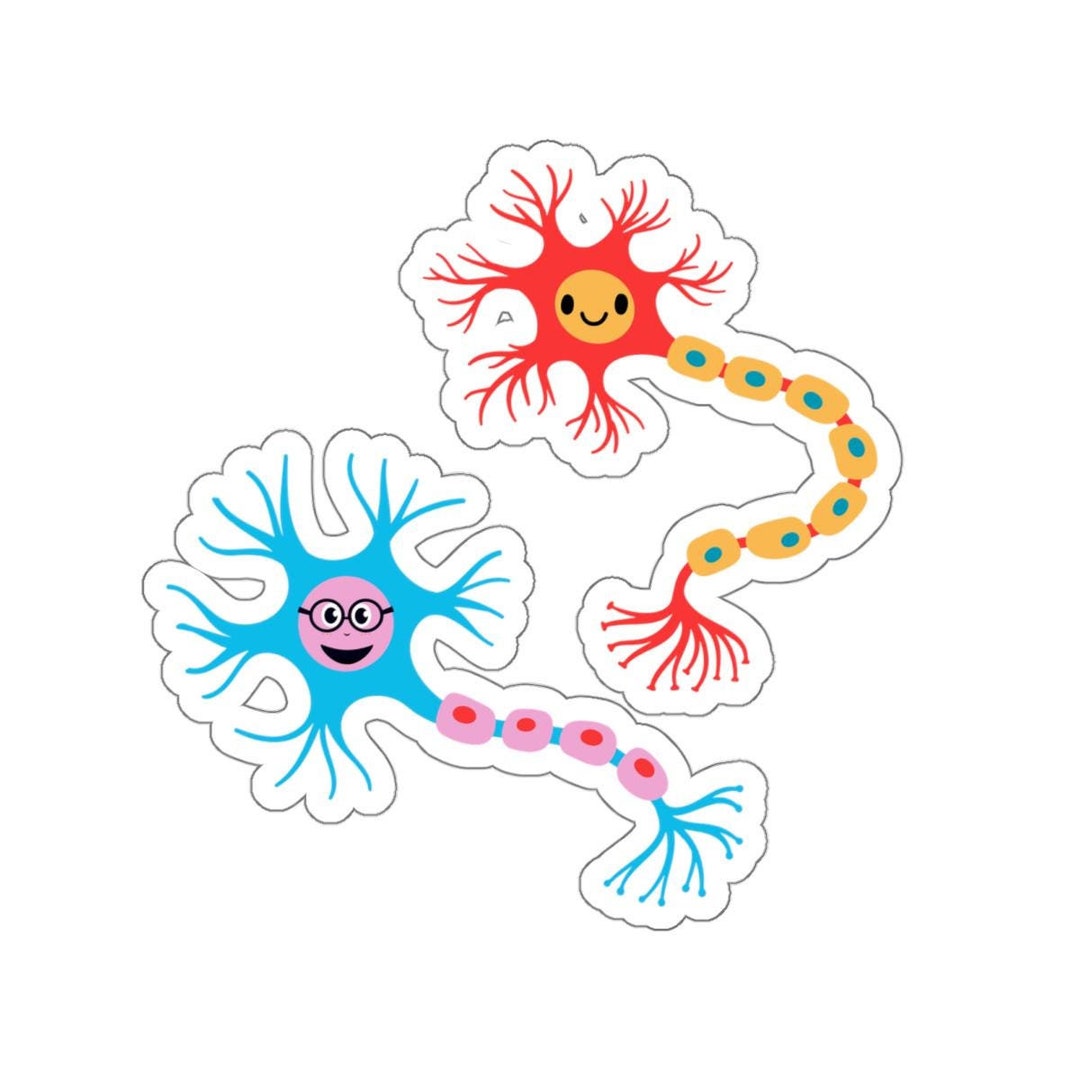Fun Neuron Sticker 2-pack - Etsy