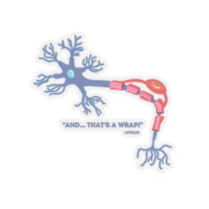 That's A Wrap! -myelin, Neuroscience Themed Sticker - Etsy