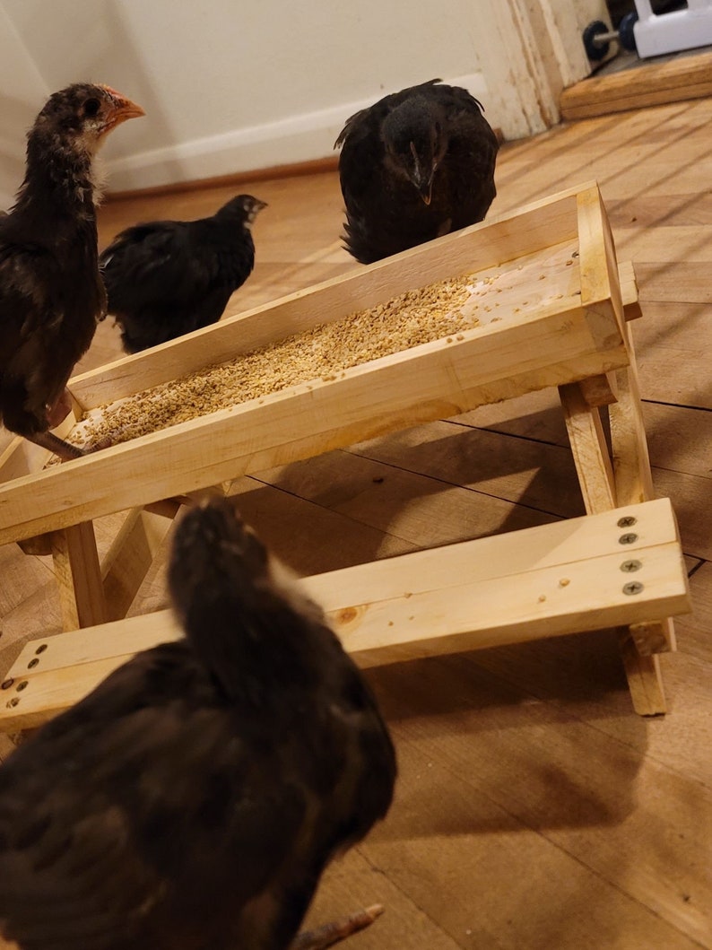 Chicken Feeder Stand - Etsy