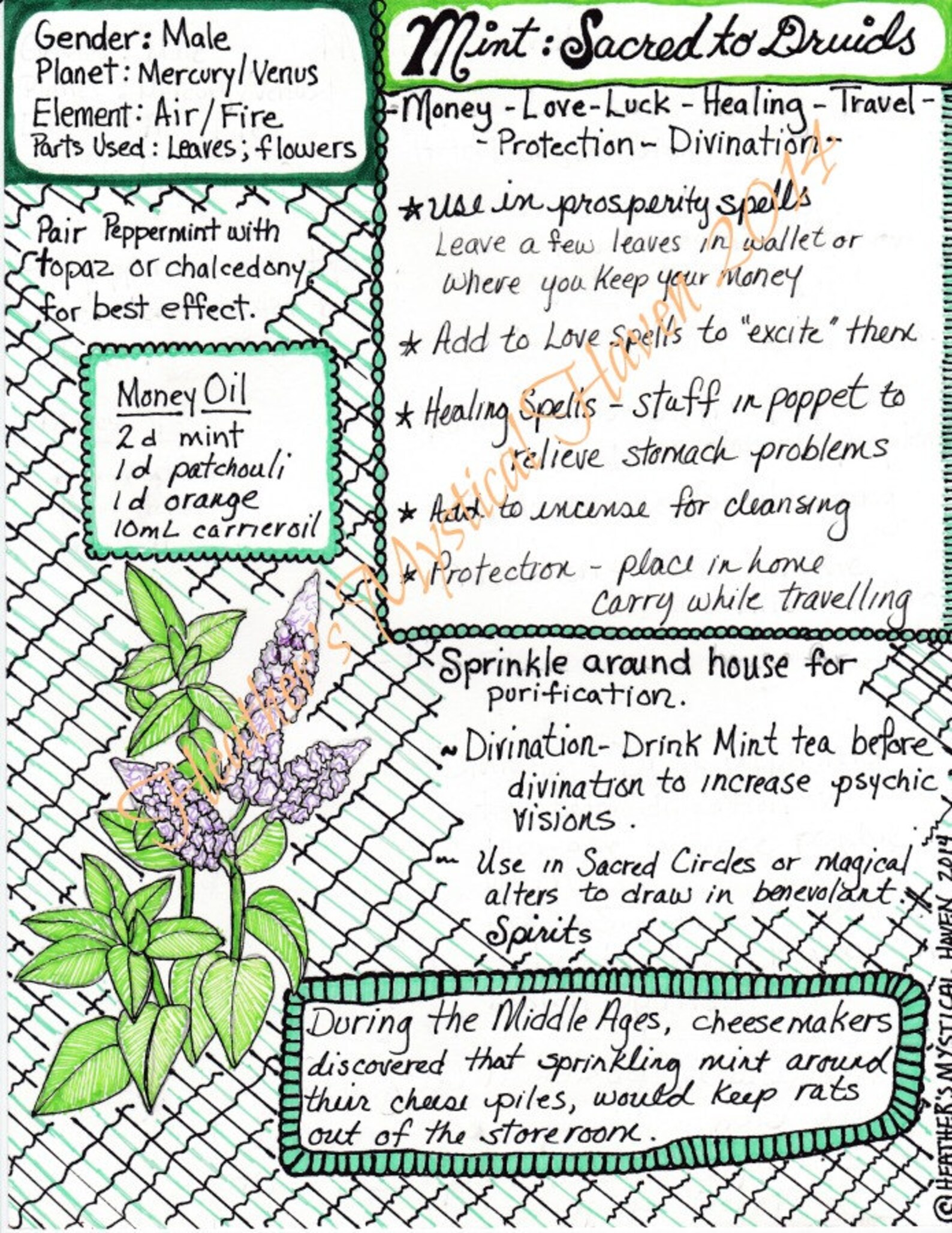 Mint Information Page PDF Instant Download - Etsy