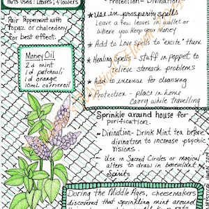 Mint Information Page PDF Instant Download - Etsy