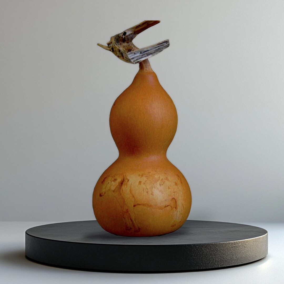 Handmade Pyrography Gourd Cow Unique Gift, Natural Ethnic Decor ...