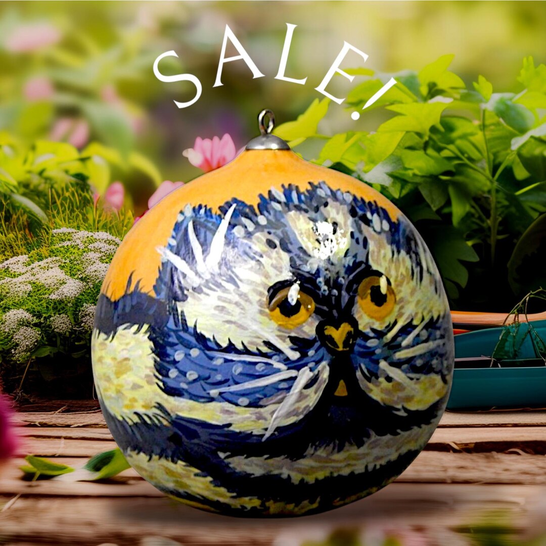 Painted Gourd Cat, Decorative Painting Unique Decor, Christmas Tree ...