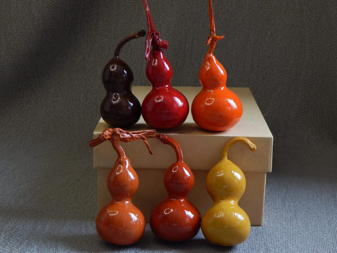 Set of 6 Colored Gourds Box, Holiday Season Autumn Good Lucky Home ...
