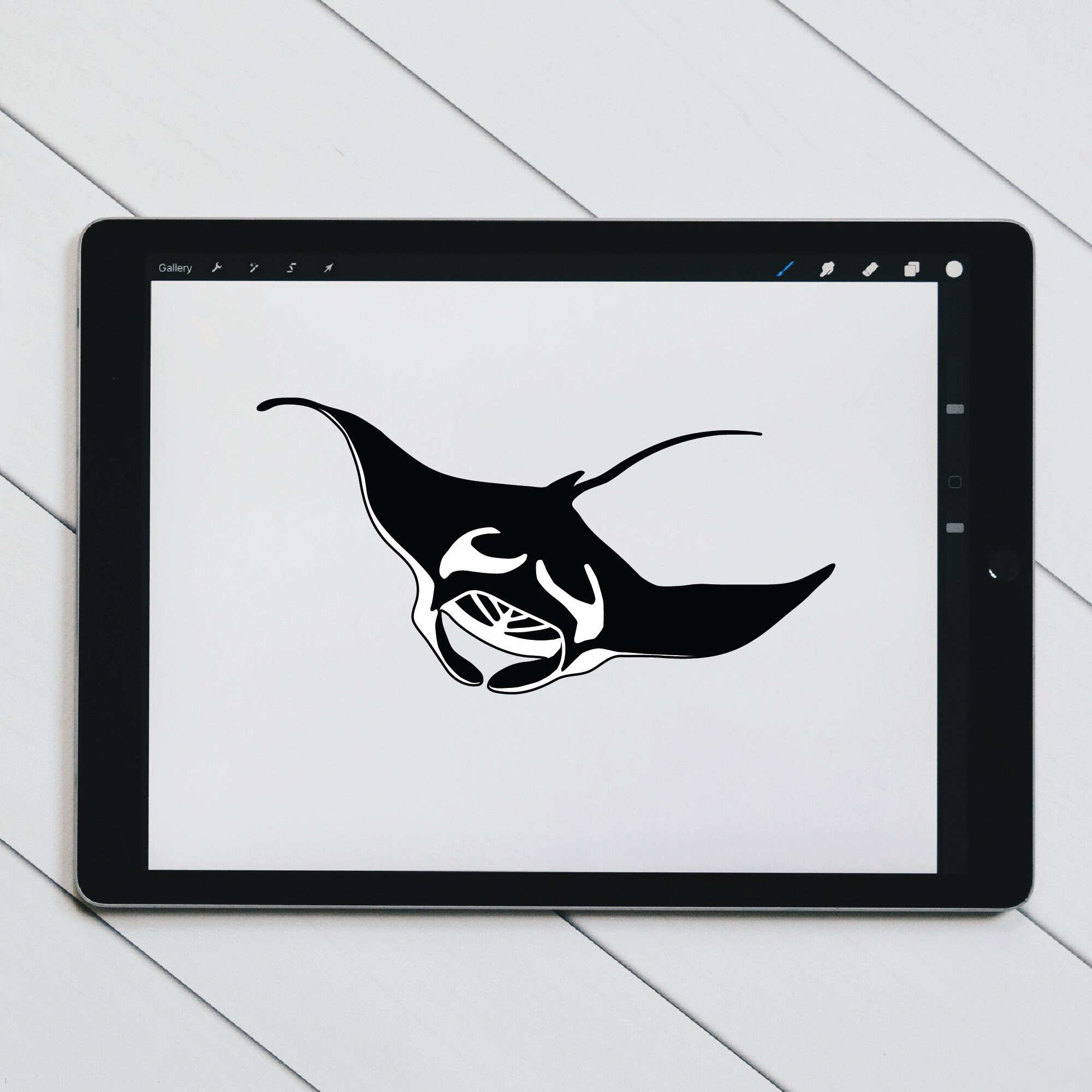 Manta Ray Digital Asset Bundle Set of 3 Pdf, Png, Jpg, Eps, Svg Ocean ...