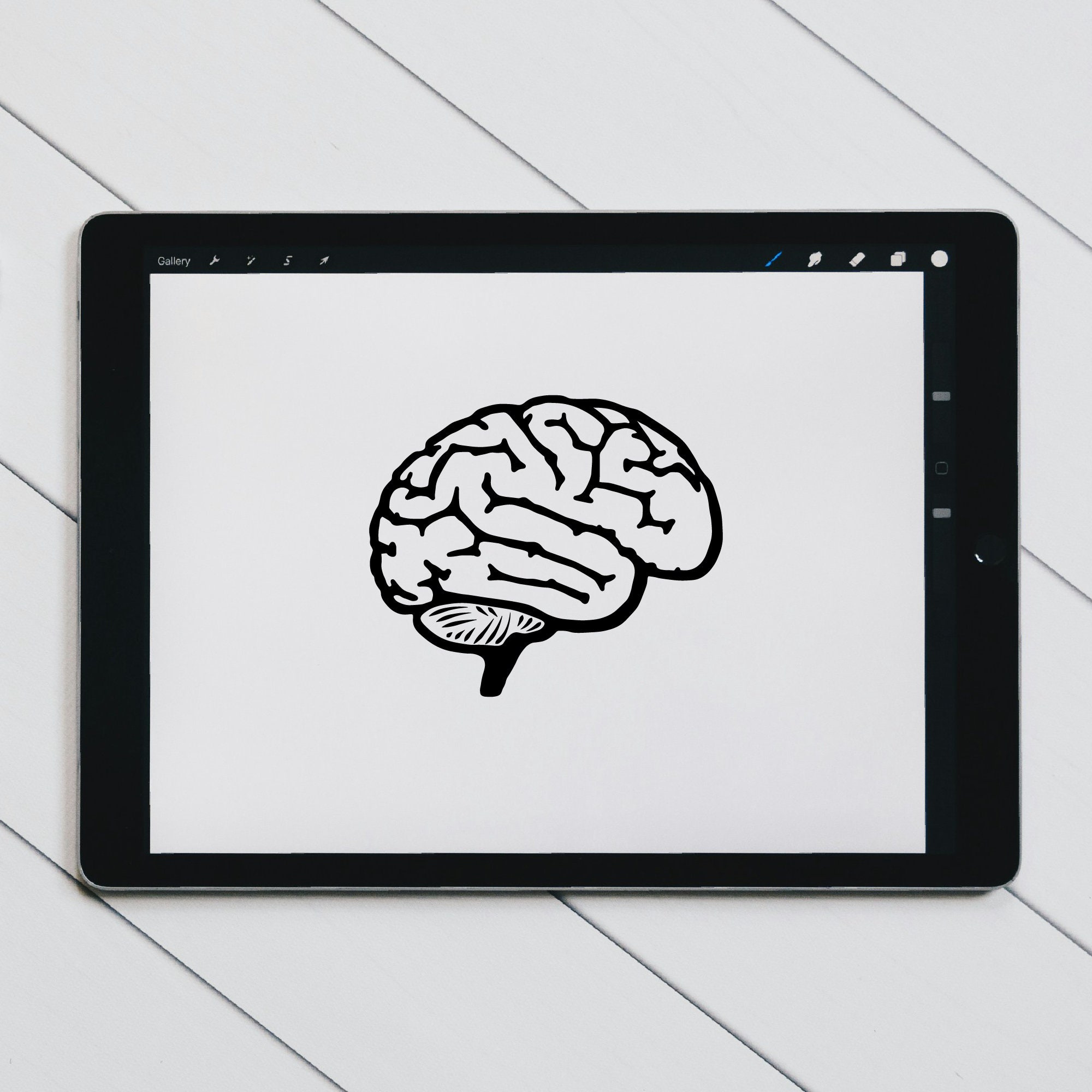 Brain Digital Asset - Svg, Pdf, Png, Jpg, Eps, Dxf | Digital ...