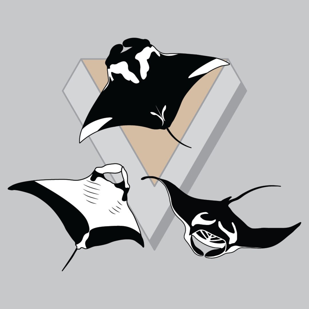 Manta Ray Digital Asset Bundle - Set of 3 | Pdf, Png, Jpg, Eps, Svg ...