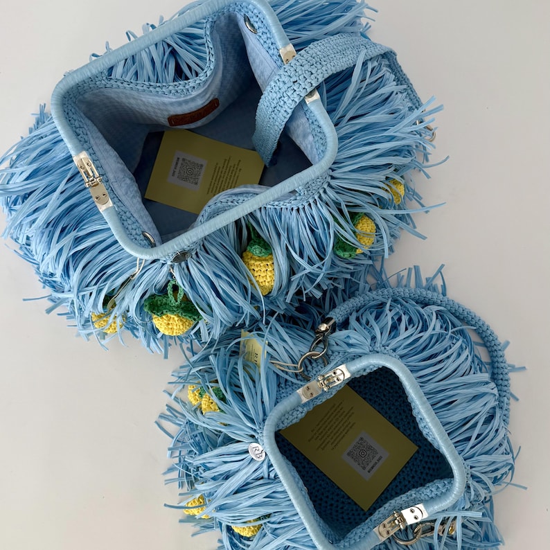 Blue Raffia Mini Bag With Lemon, Woven Fringe Crossbody, Summer Beach ...