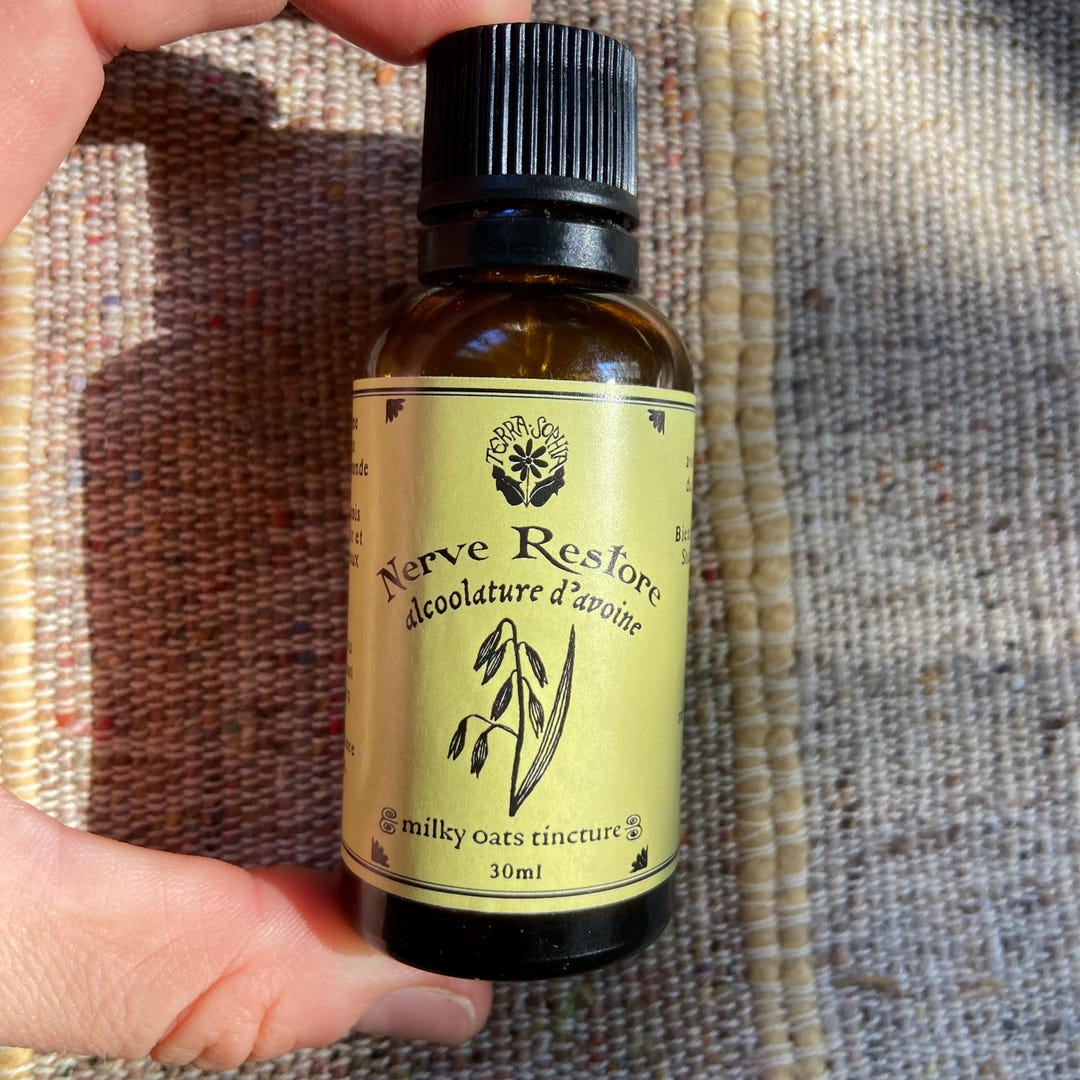 Fresh Milky Oats Tincture Avena Sativa Herbal Extract - Etsy
